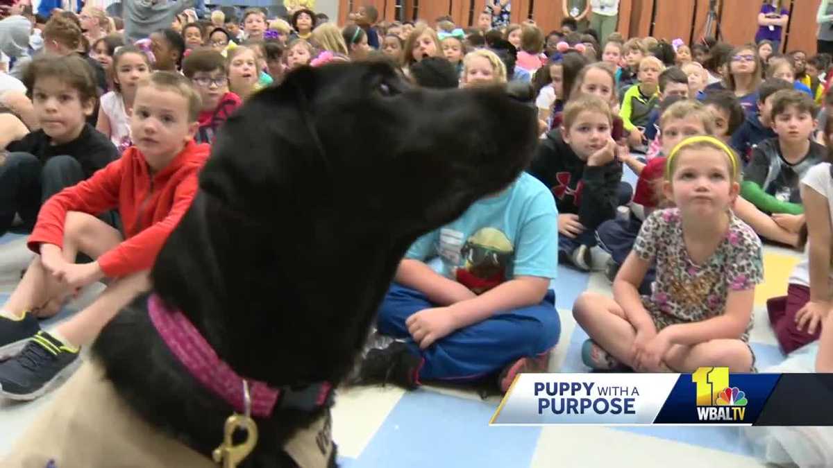 Camden meets students at Pershing Hill Elementary School