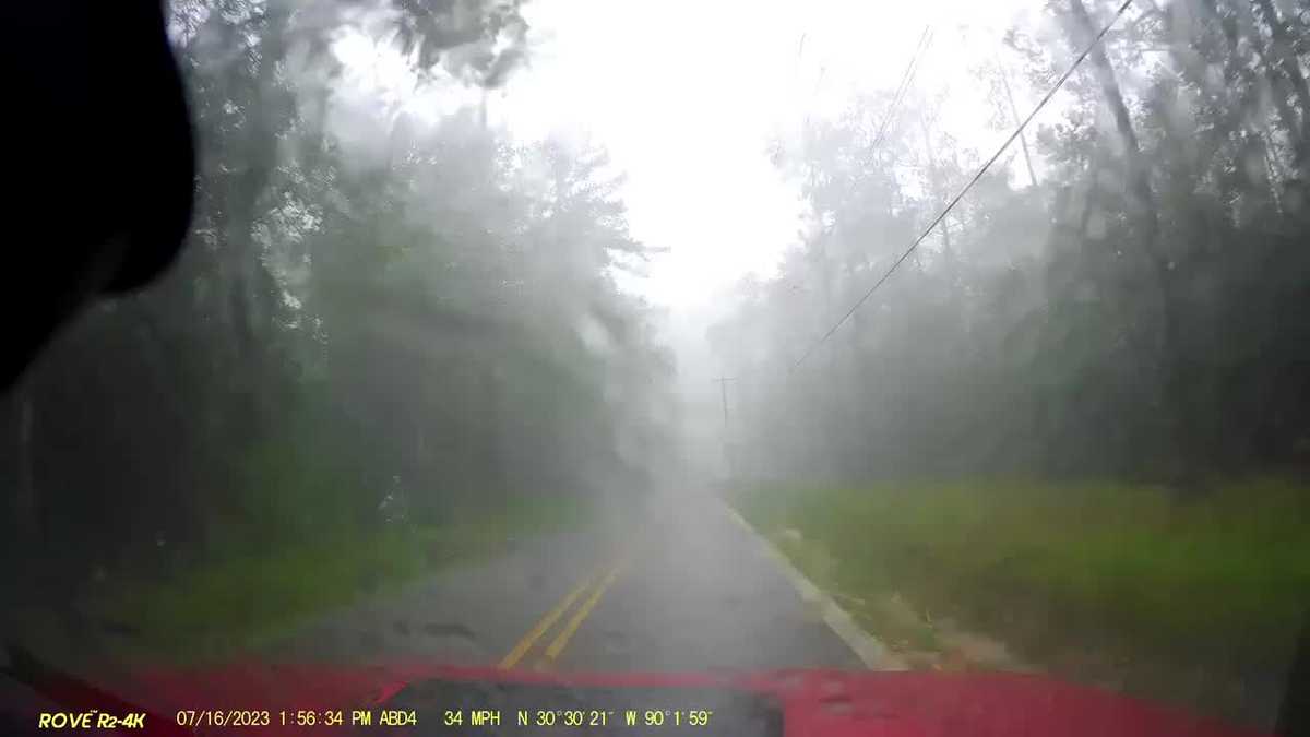 Covington man walks away without injury after tree, powerline falls on car