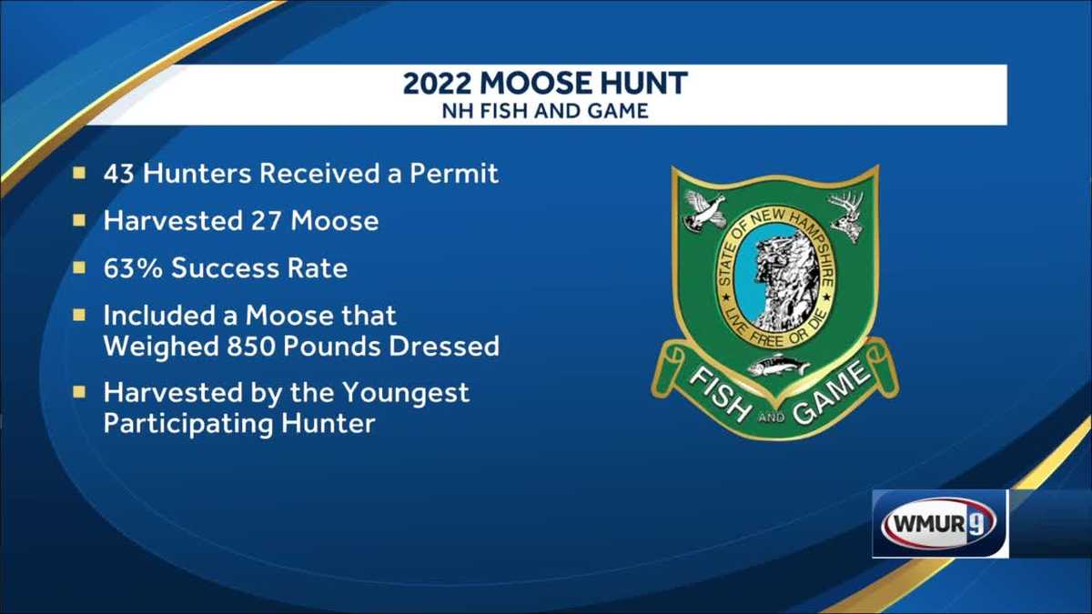 NH Fish and Game releases results from 2022 moose hunt