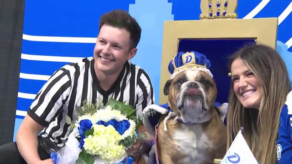 Finalists named for 2026 Drake Relays Beautiful Bulldog Contest