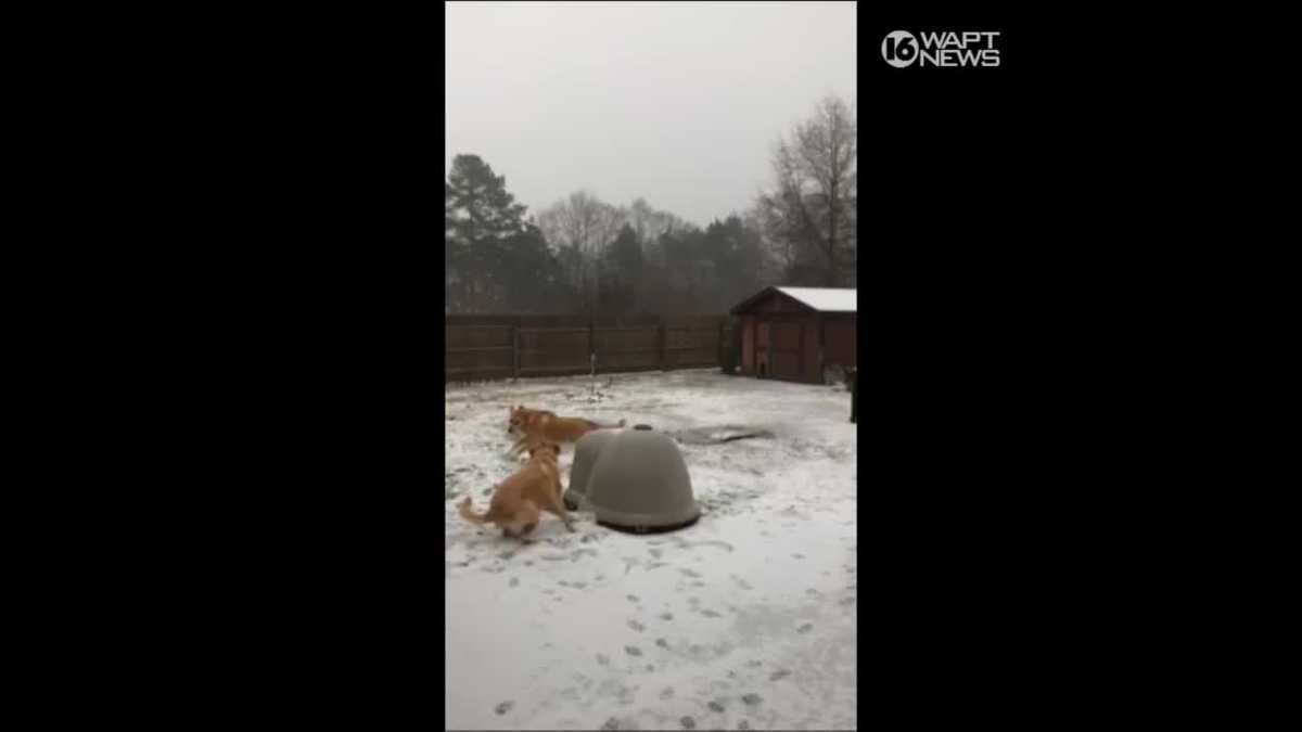 Video: Thundersnow caught on camera