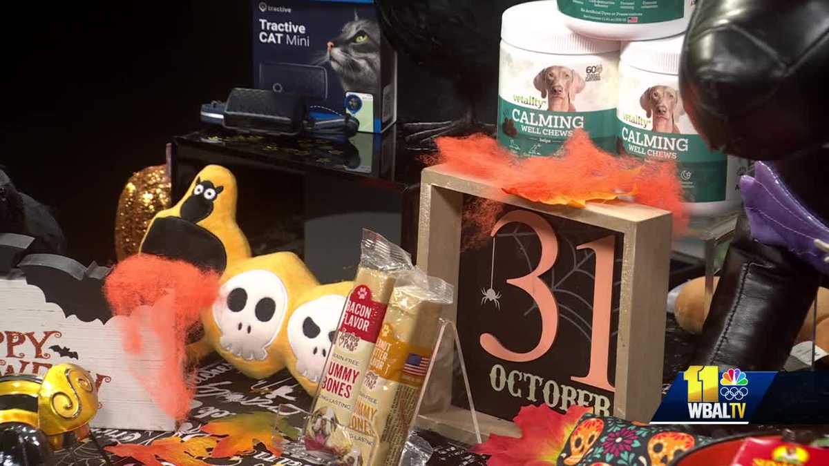 Howl-o-ween: Keeping your pet happy and safe this halloween season