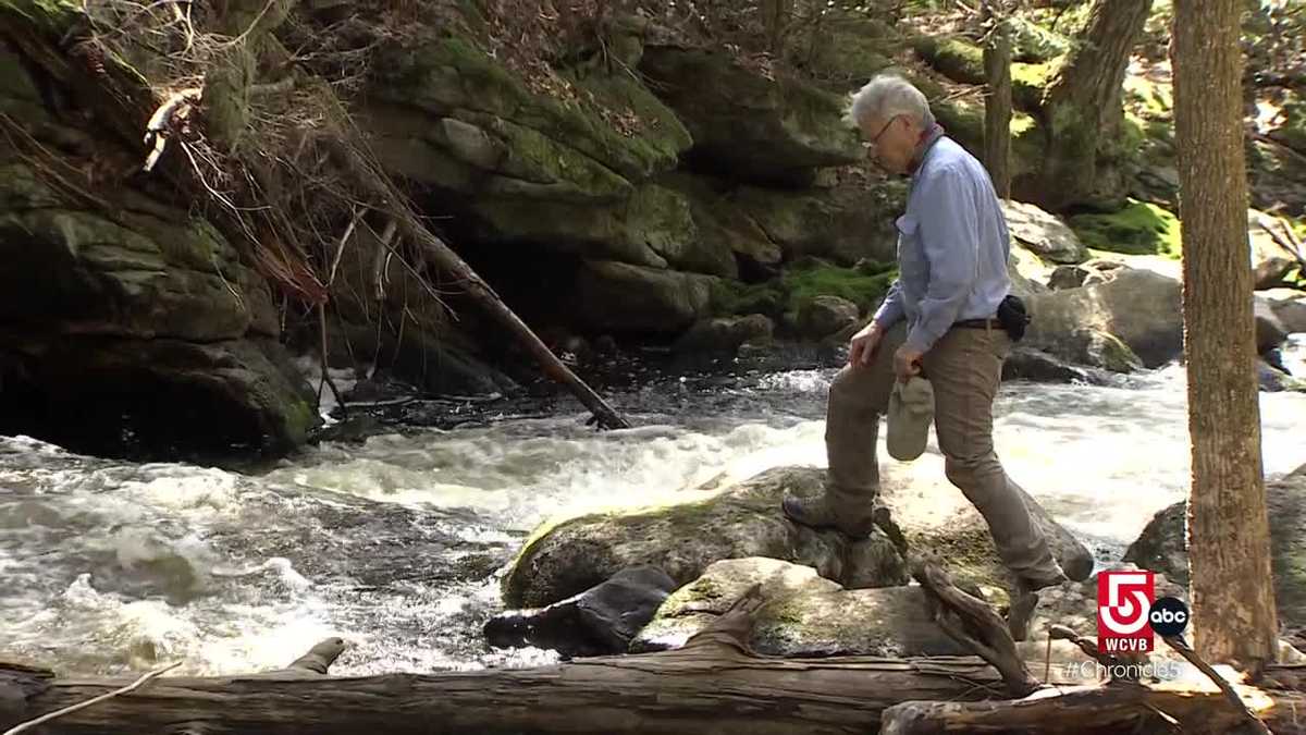 In Mass., catch a concert by the lake or hike to a waterfall