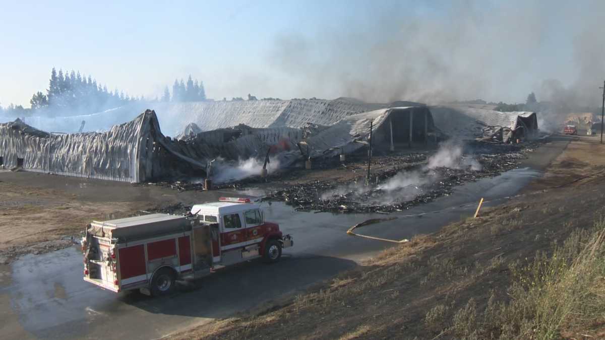 Fire destroys Olivehurst walnut factory