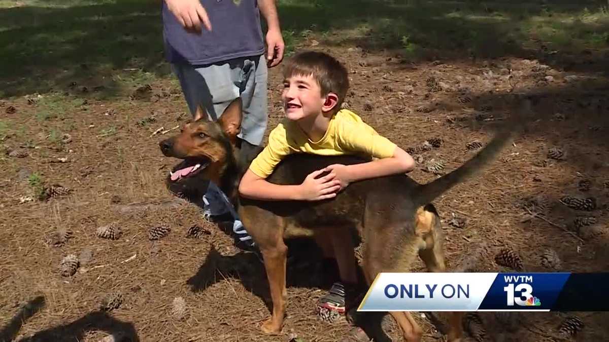 Missing Shelby County boy back home safe after search