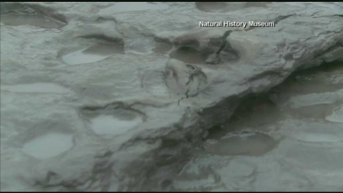 Oldest footprints discovered