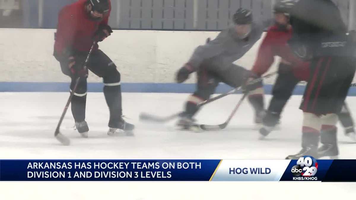 Meet the Hockey Hogs