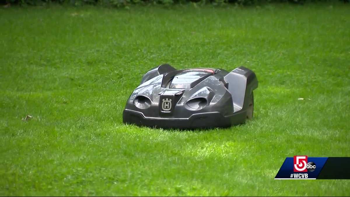 Robot mows your lawn without you lifting a finger