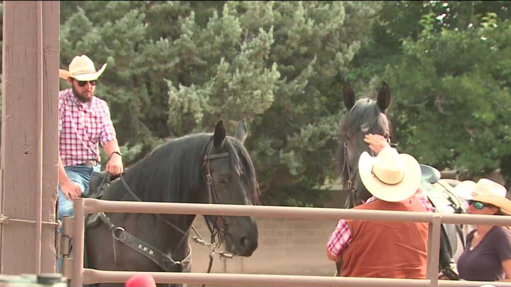 The mane event: APD gets horses ready for Balloon Fiesta