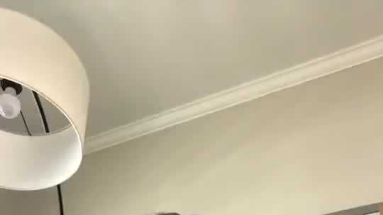 SC Congressman Joe Cunningham tests positive for coronavirus