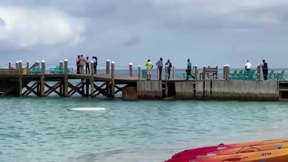 New England woman killed in shark attack in Bahamas, police say
