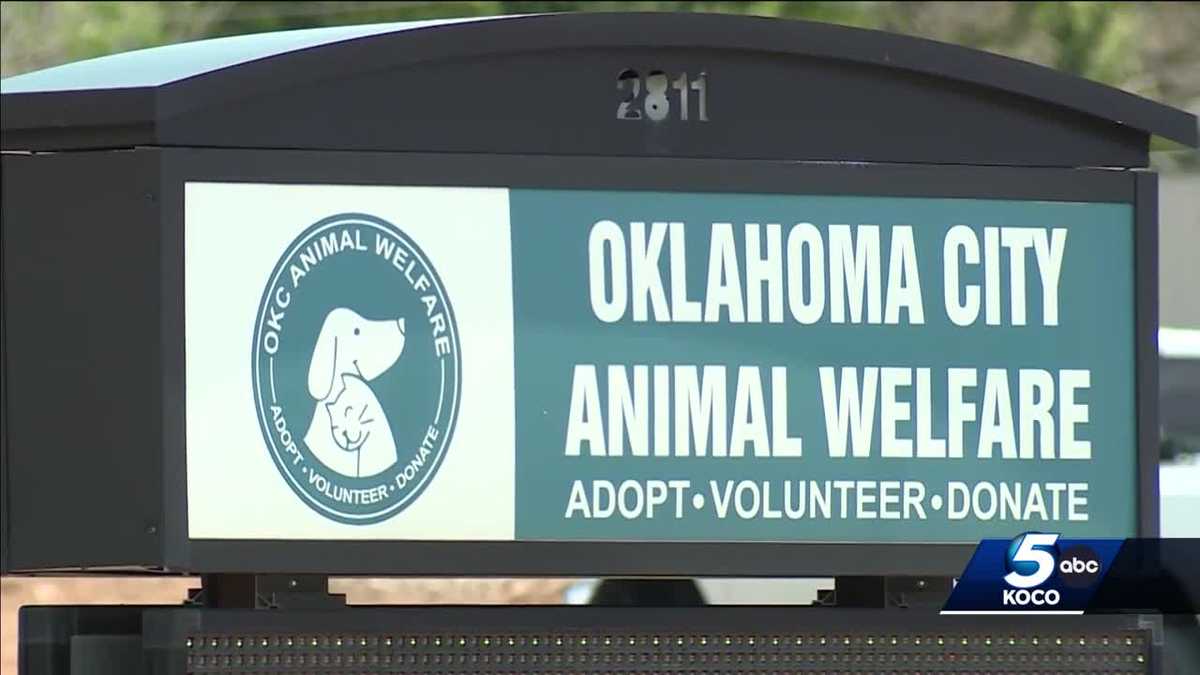 OKC Animal Welfare closes for third time year