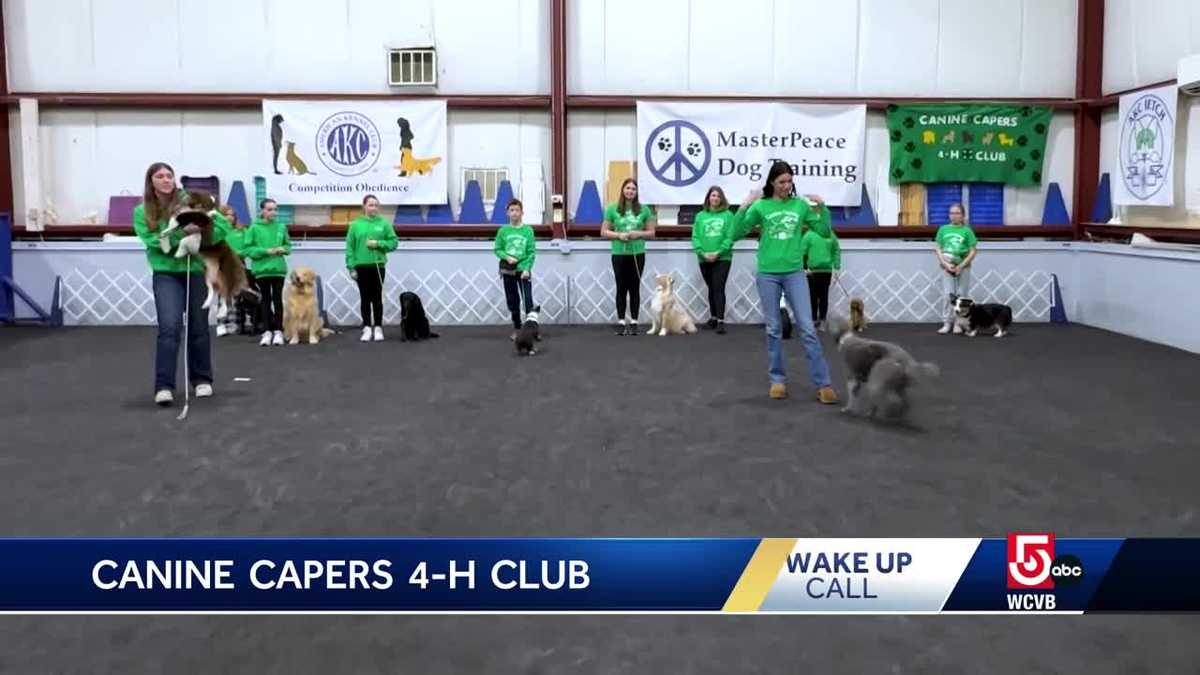 Wake up call: Canine Capers 4-H Club