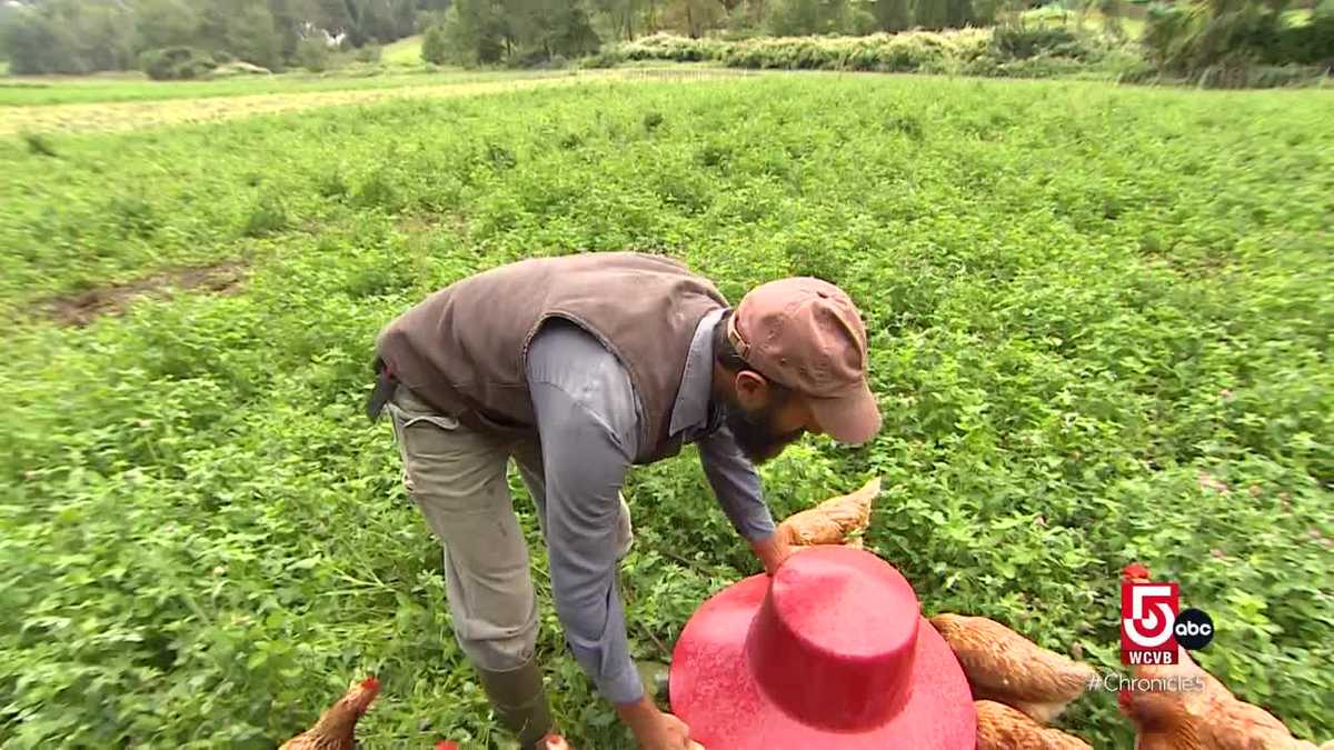 Mass. farm has 100% crop loss as result of Vermont flooding