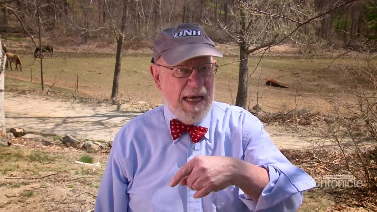 Fritz Wetherbee's New Hampshire: Binky and the Unmentionables