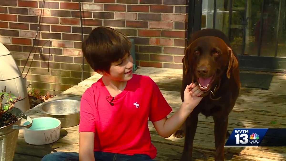 'Bring back Bruce': Dog reunited with Gardendale family