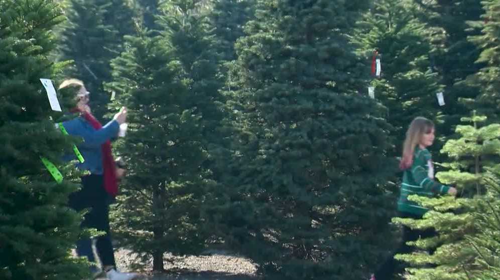 Popular Modesto farm brings in dozens of Christmas tree customers
