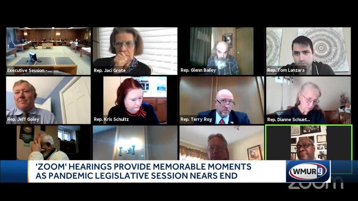 'Zoom hearings' provided memorable moments as pandemic legislative ...