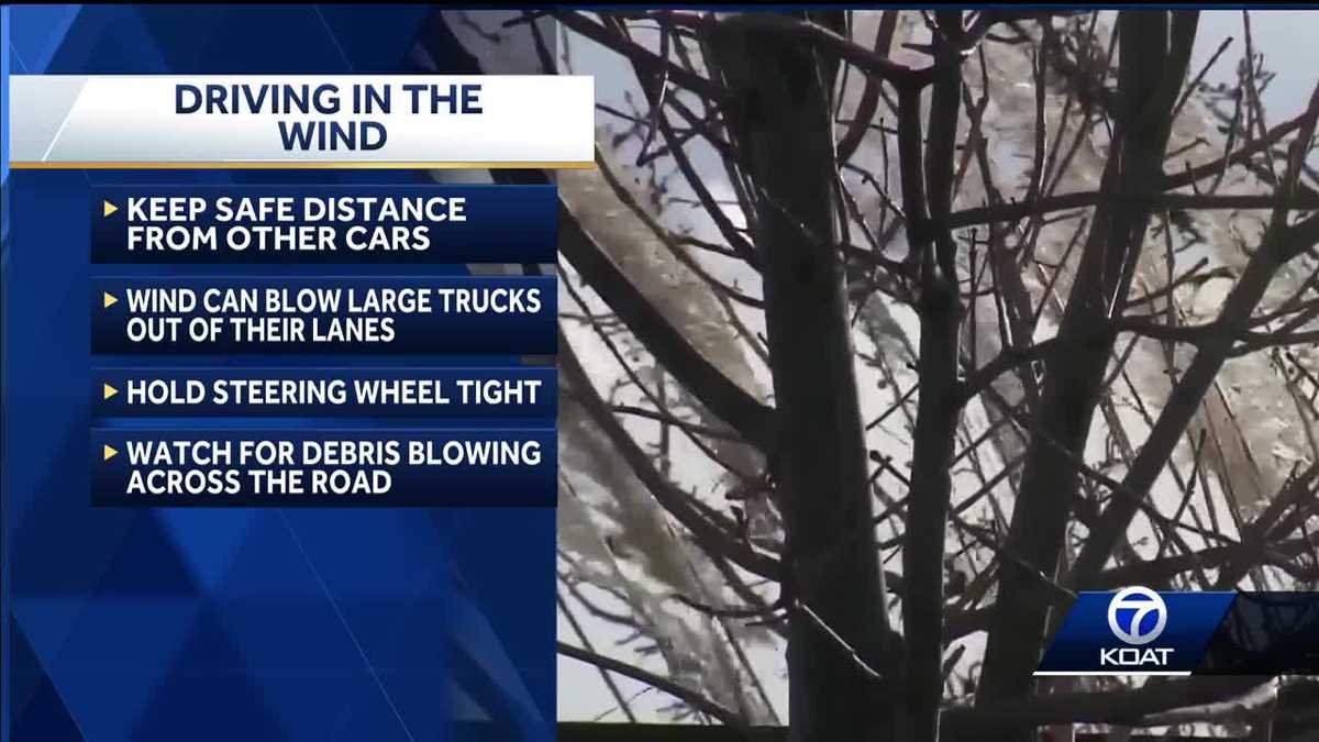 Tips for driving in windy weather