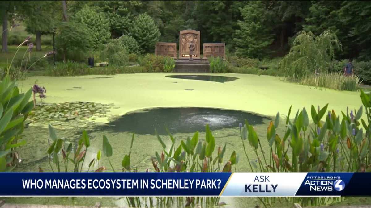 Ask Kelly: Schenley Park in Pittsburgh