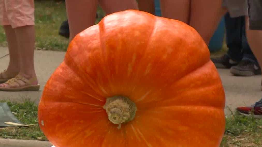This great pumpkin at the Iowa State Fair is enormous