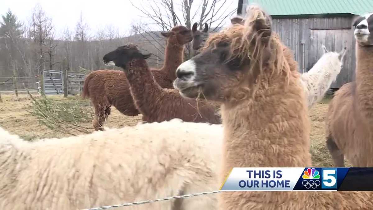 Ben Frechette visits Waterville, Vermont in "This is Our Home"