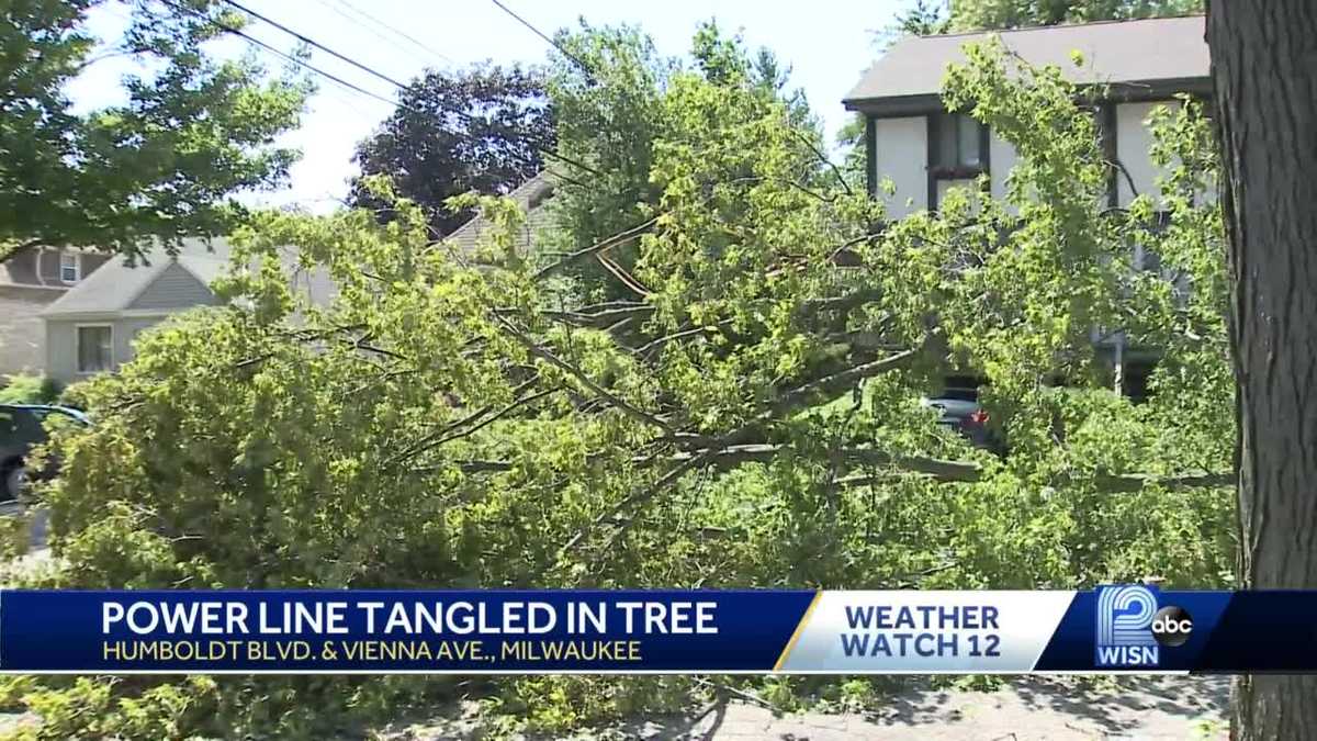 Tuesday's storms knock down tree, power line on dead-end street
