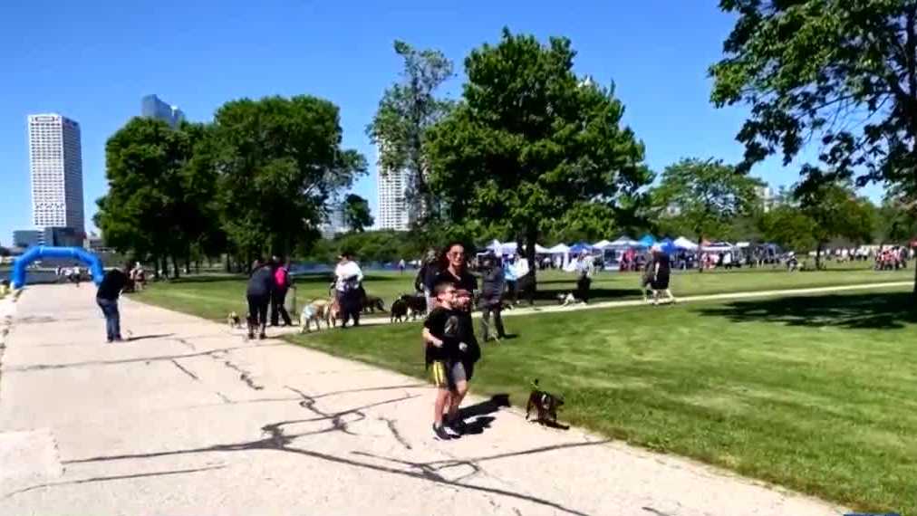 Humane Society hosts annual Pet Walk