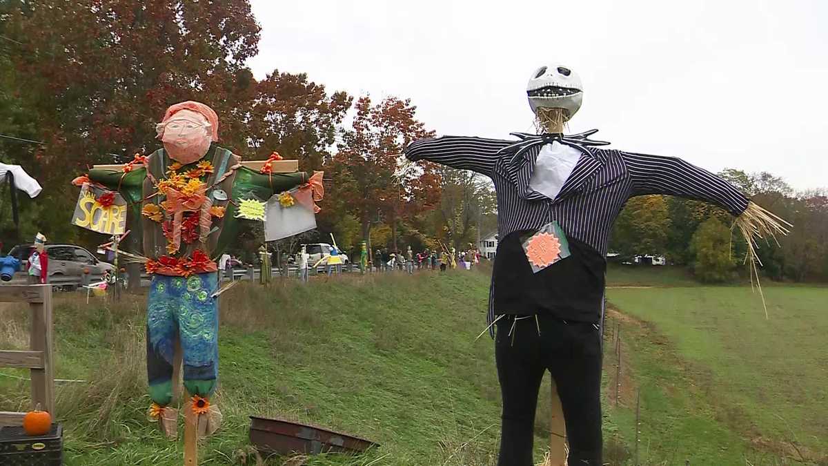 Quirky, spooky scarecrows at Cucurbit Farm raising money for mental ...