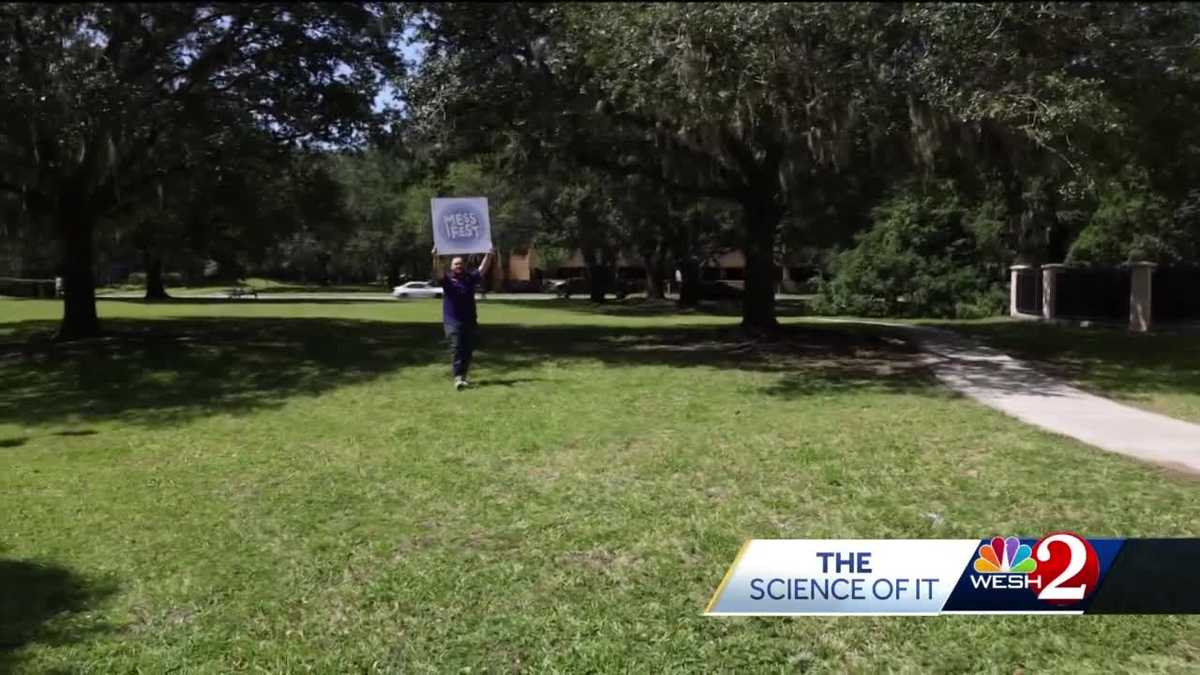 The Science of It: Mess Fest