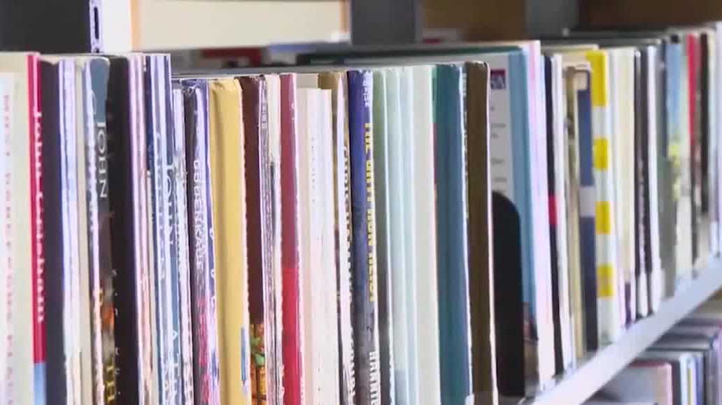 Beaufort County weighs removing book titles from school libraries