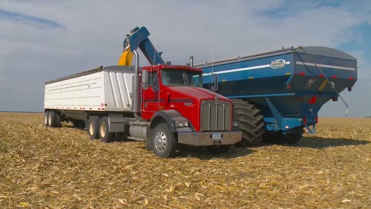 Iowa farmers donate crops to Red Cross