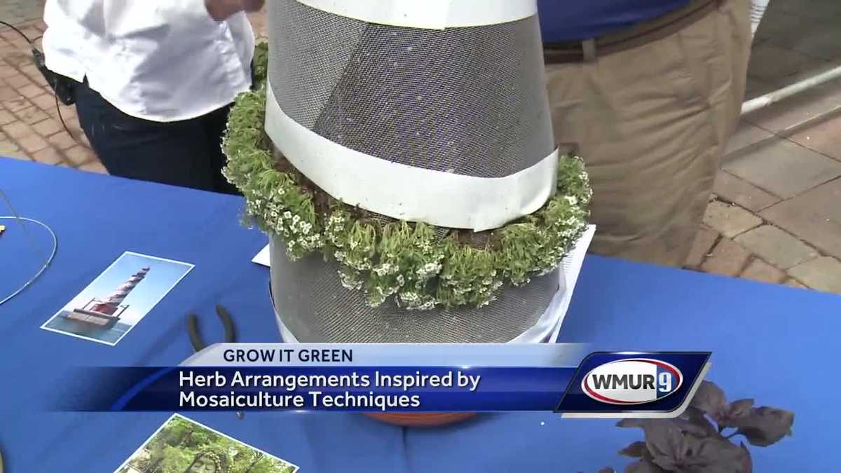 Grow it Green: Mosaiculture