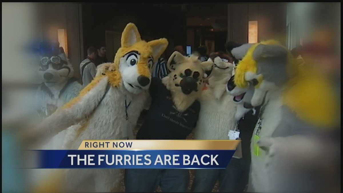 The Furries Are Back! Who Are They?