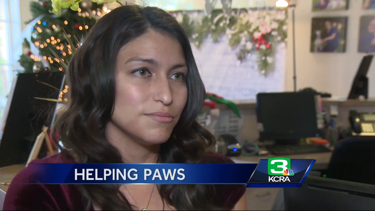 Pictures with Santa helps pets in need