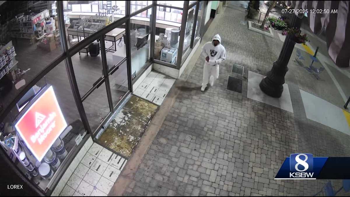 Window-kicking vandal at large in California; 1 already arrested