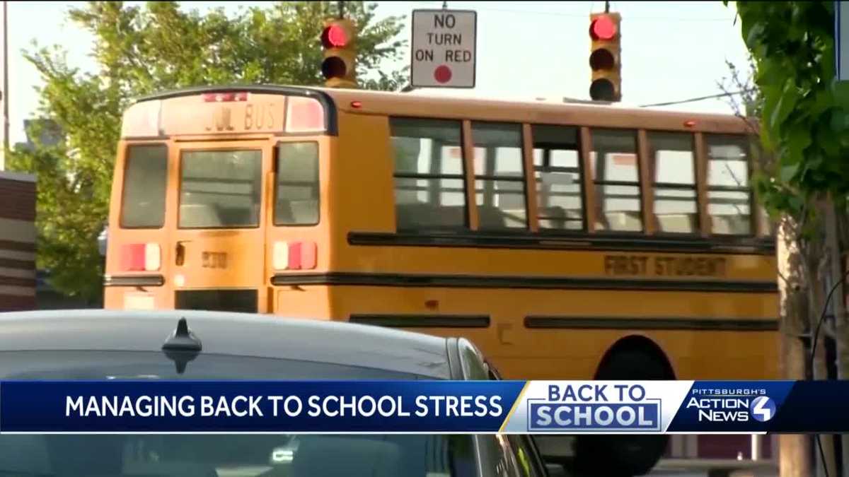 Managing back to school stress