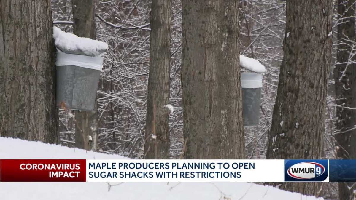 Maple sugaring season begins in New Hampshire