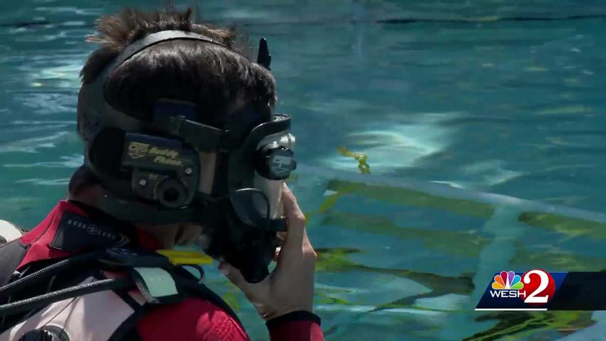 A look at the importance of dive team training