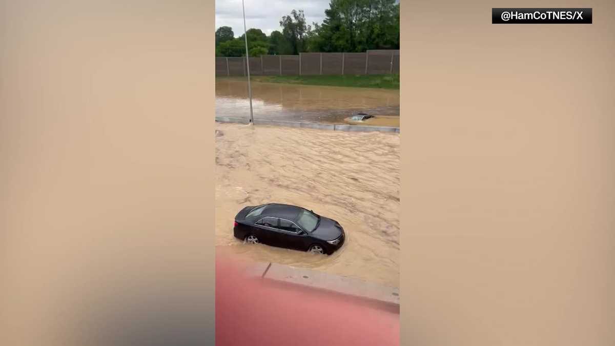 Tennessee flooding claims three lives as tree falls on car