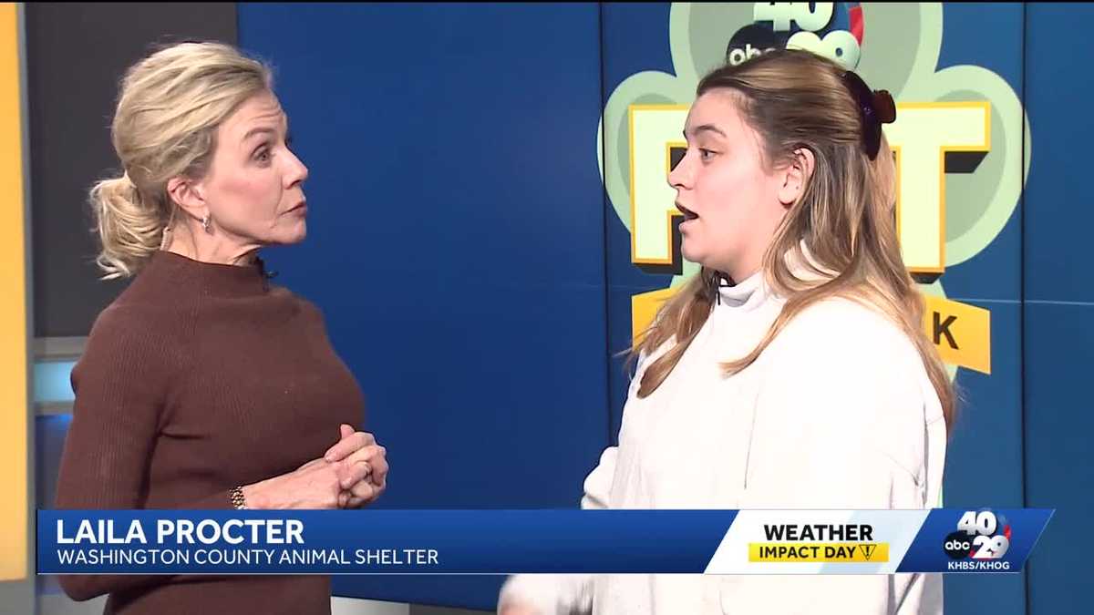 Preparing your pets for severe weather