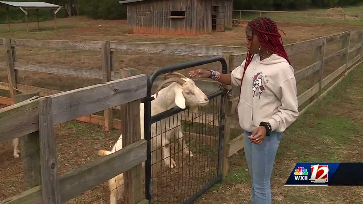 North Carolina: Meet Nevaeh who is longing to be adopted