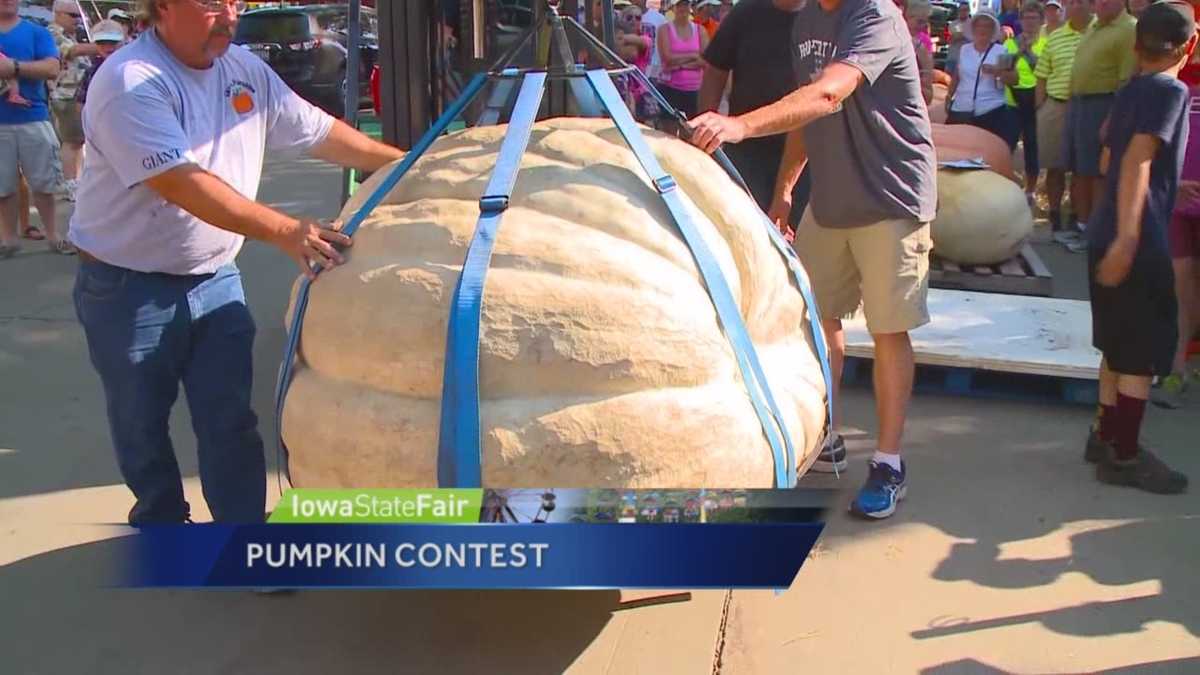 Big Pumpkin Contest weigh in at Iowa State Fair