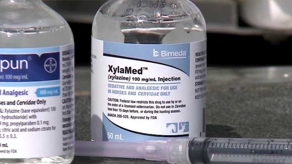 Overdose deaths related to animal sedative up more than 100%
