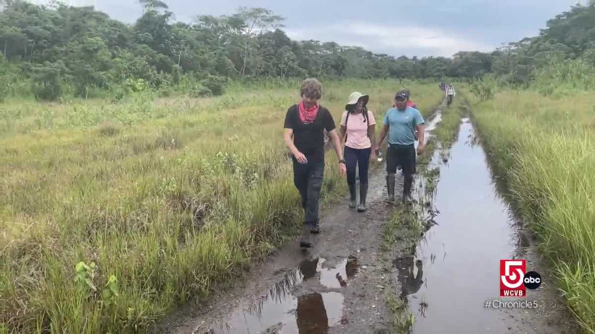 Venturing into Panama's biodiverse rainforest