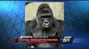 'Handsome Harambe' remembered by former caretaker