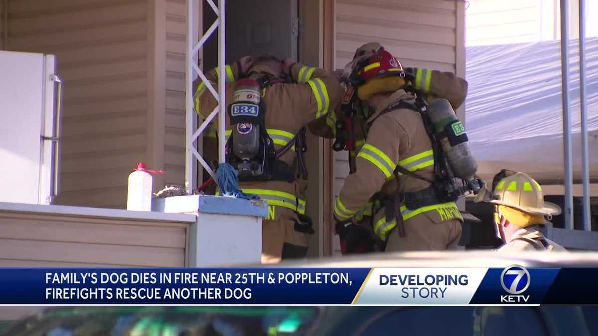 Omaha firefighters rescue dog from burning home near 25th & Poppleton