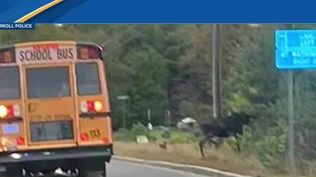 Carroll police remind drivers to be careful after close call between ...