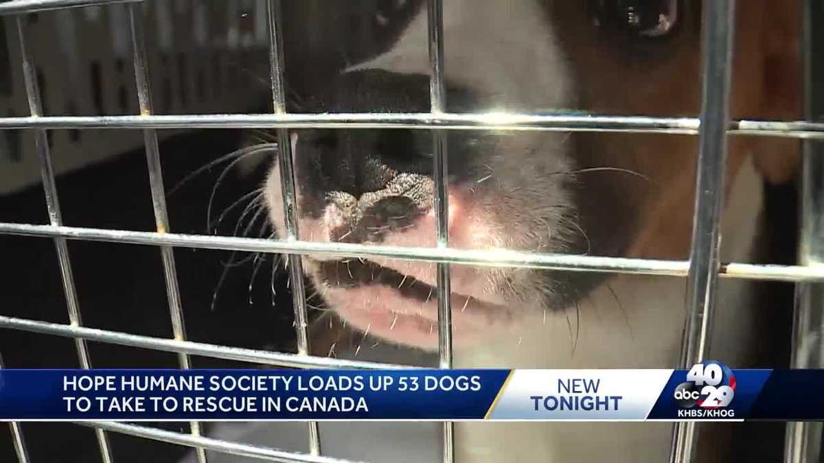 Hope Humane Society sending dogs to Canada