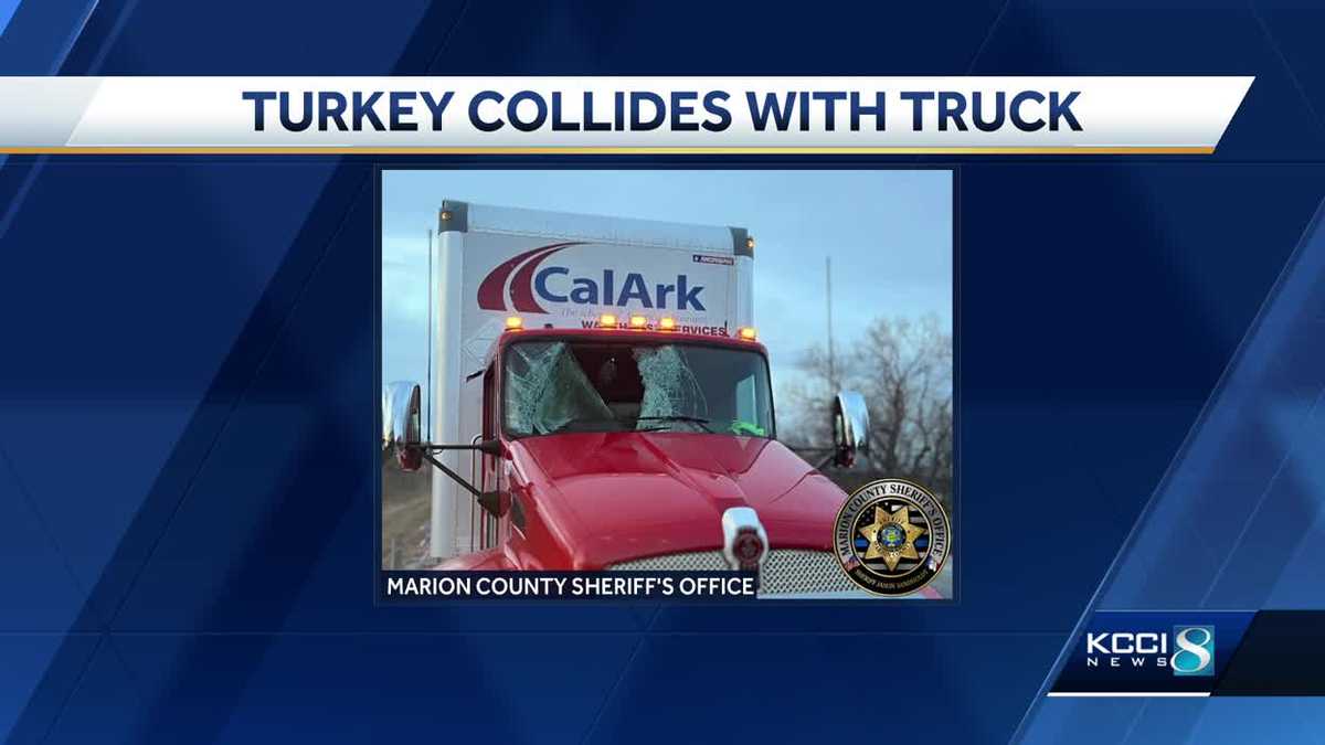 Turkey becomes leftovers after smashing into semi truck
